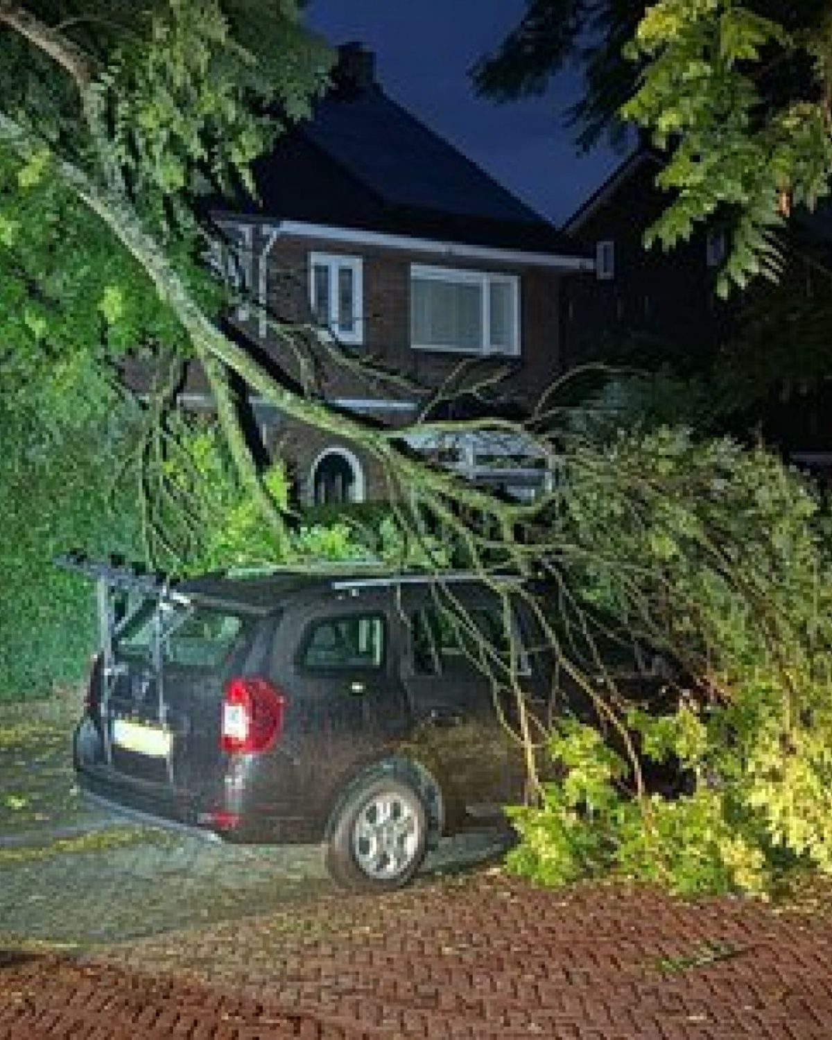 Grote boomtak breekt af en valt op auto - Omroep West