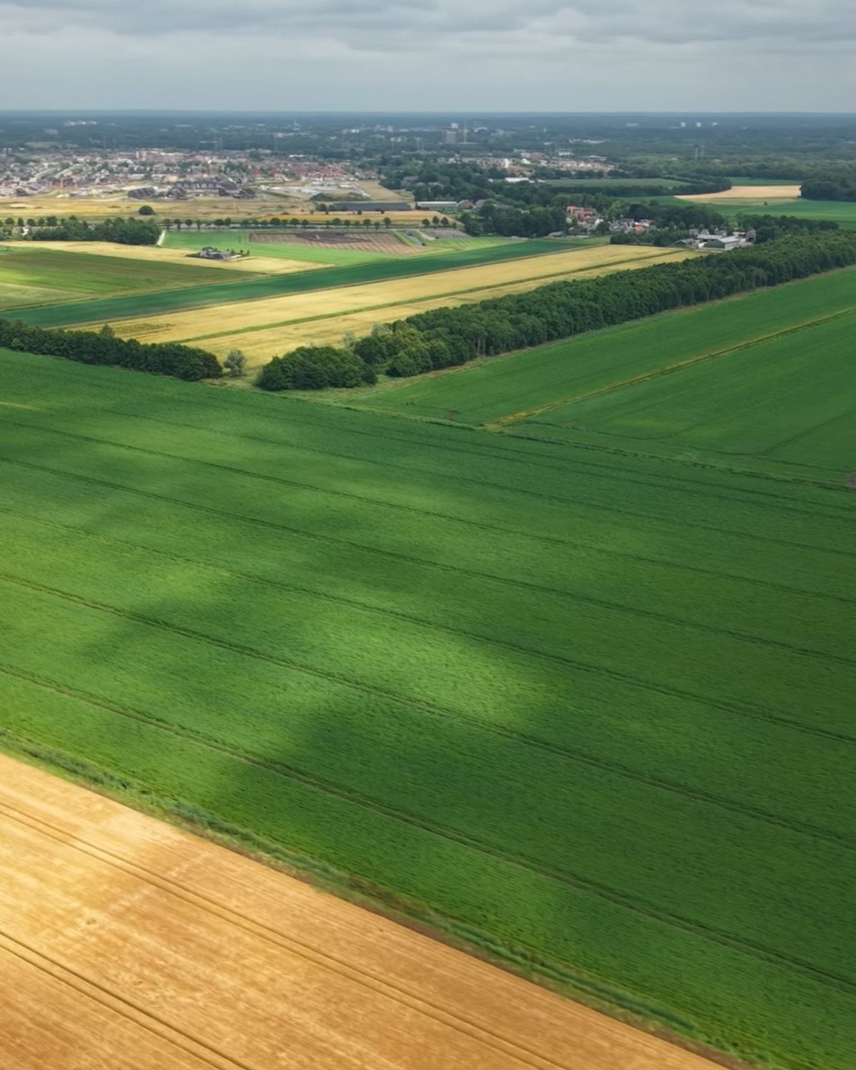 Landbouwgrond in Drenthe blijkt woest aantrekkelijk, prijs per hectare ...
