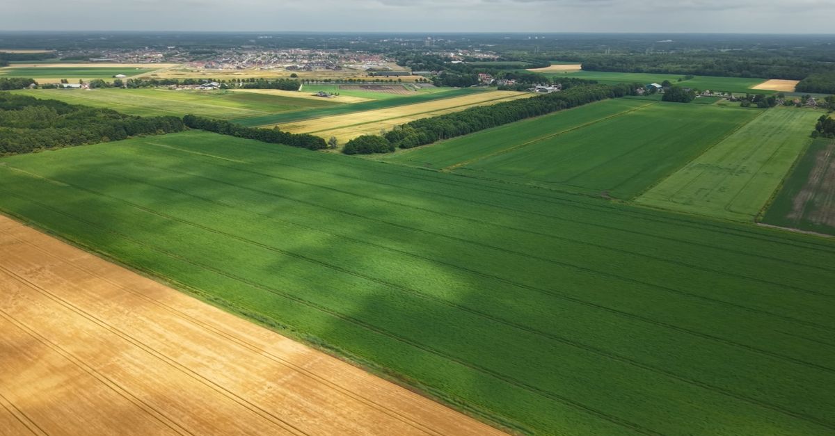 Landbouwgrond in Drenthe blijkt woest aantrekkelijk, prijs per hectare ...