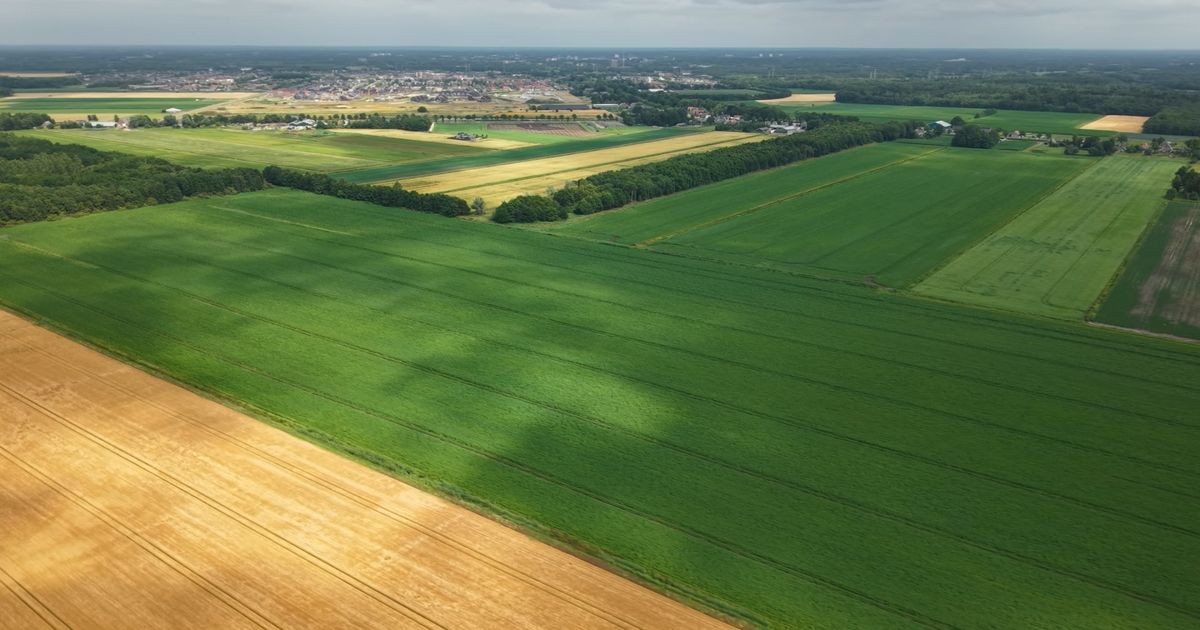 Landbouwgrond in Drenthe blijkt woest aantrekkelijk, prijs per hectare ...