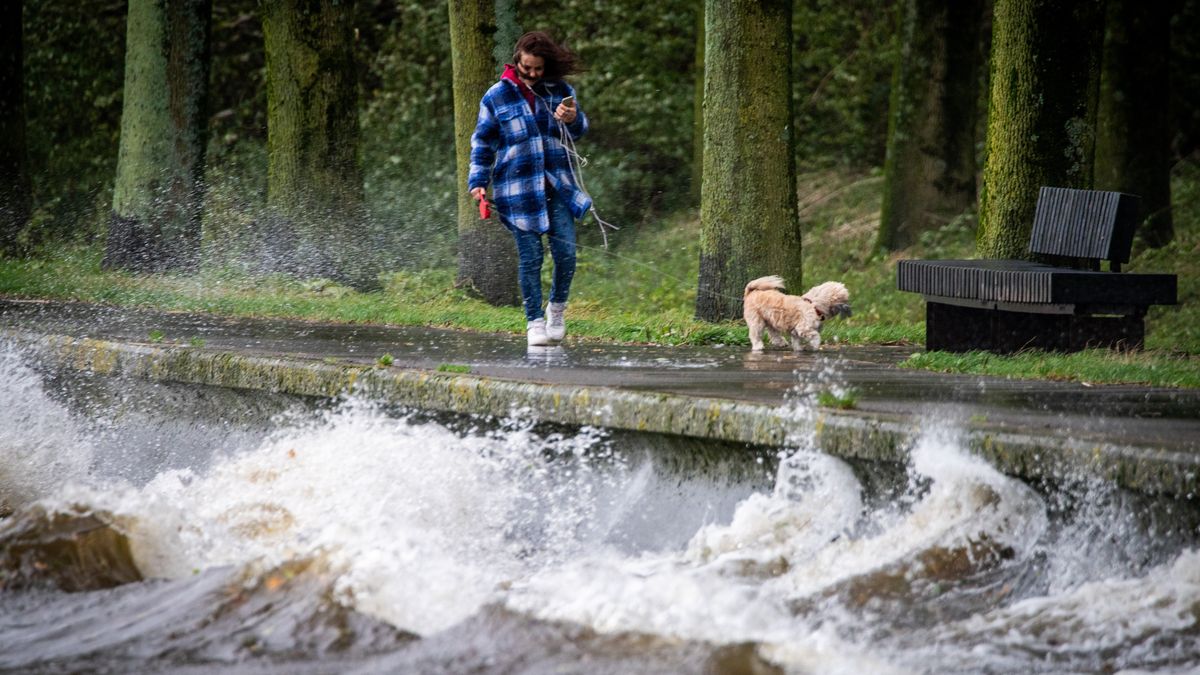 KNMI waarschuwt voor harde windstoten vanwege storm Pia, ook waterpeil stijgt - RTV Drenthe