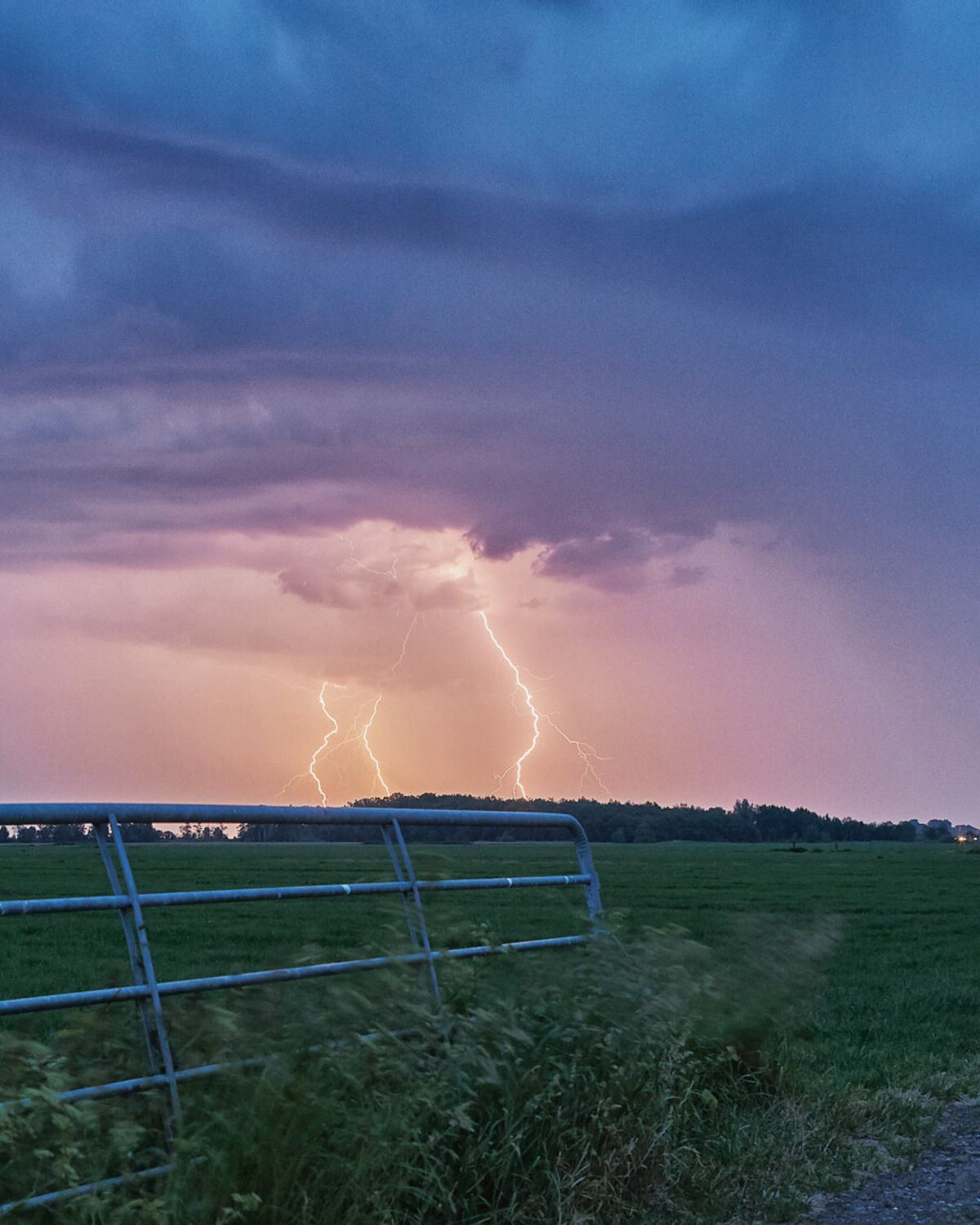 KNMI geeft code geel voor zondag: 's avonds zware onweersbuien met hagel en windstoten verwacht ...
