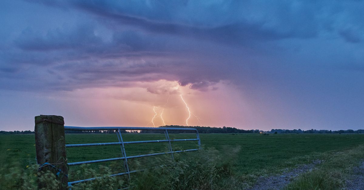 KNMI geeft code geel voor zondag: 's avonds zware onweersbuien met hagel en windstoten verwacht ...