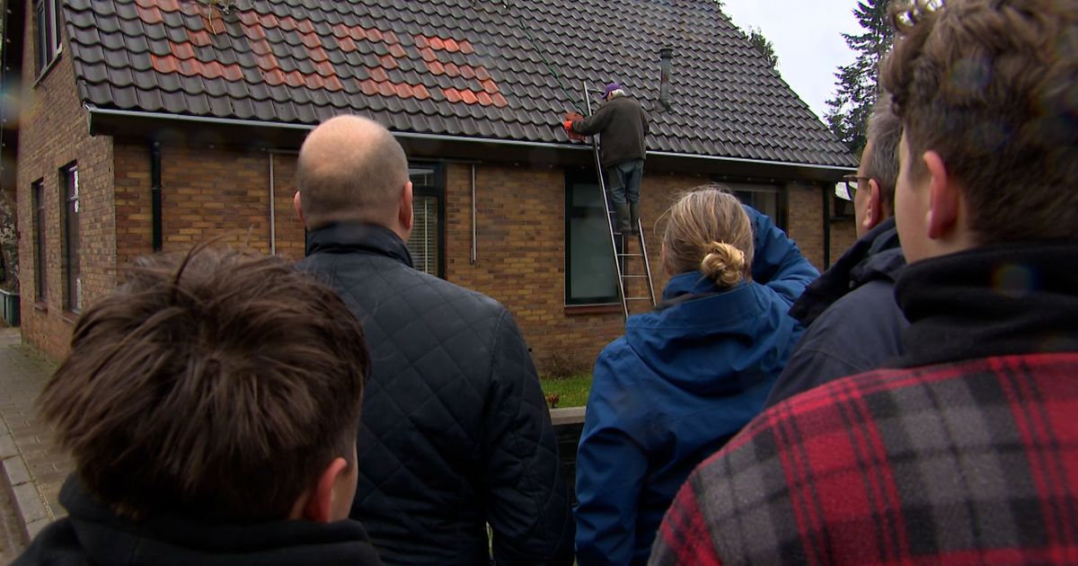 Bart (75) gaat wéér het dak op en wij zijn er al 10 jaar bij - Omroep ...