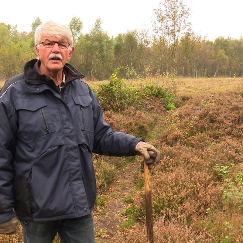 Stevensheide Vriezenveen: de mooiste plek van Herman Stevens - Oost