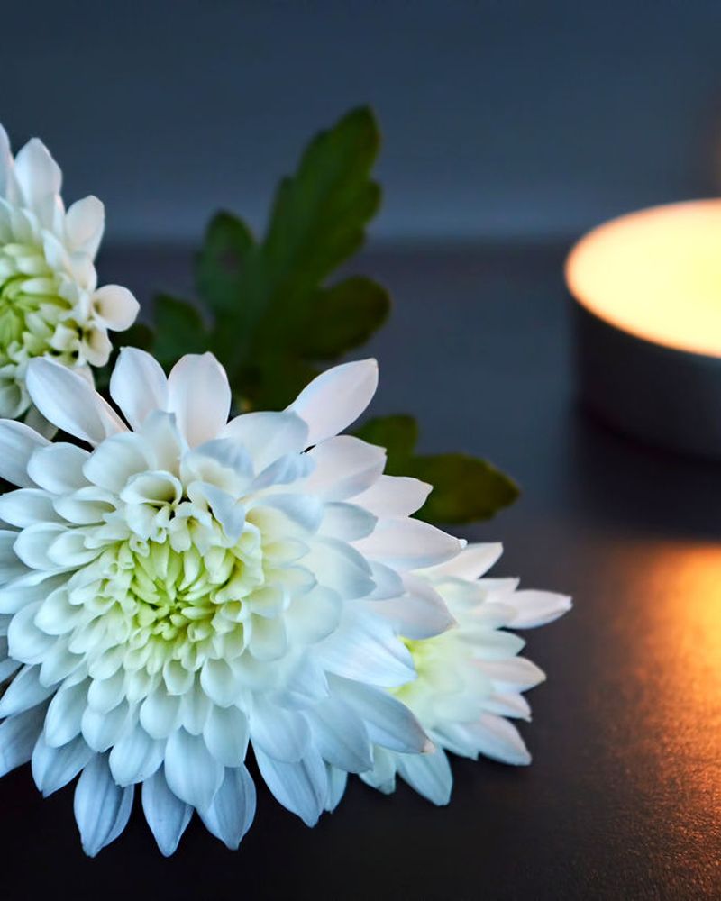 Fietshandelaar Math Salden (77) overleden - L1 Nieuws