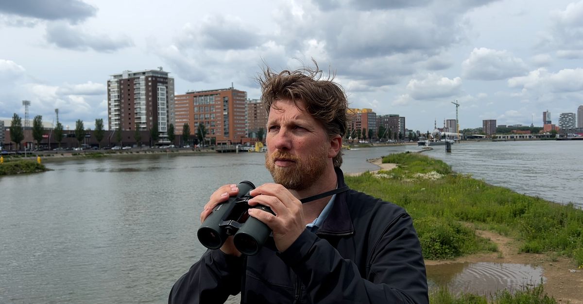 Dit park op water is 'een grote supermarkt voor de natuur' in Rotterdam ...