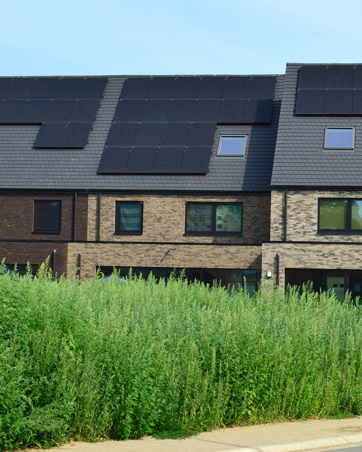 Noord-Limburgers kunnen geld krijgen door zonnepanelen te dimmen ...