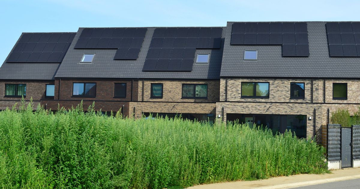 Noord-Limburgers kunnen geld krijgen door zonnepanelen te dimmen ...