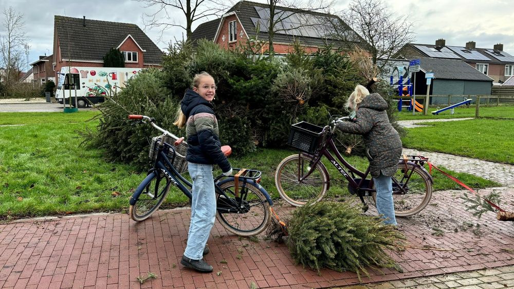 VIDEO: Alle kerstbomen op één hoop in Ferwert - Omrop Fryslân