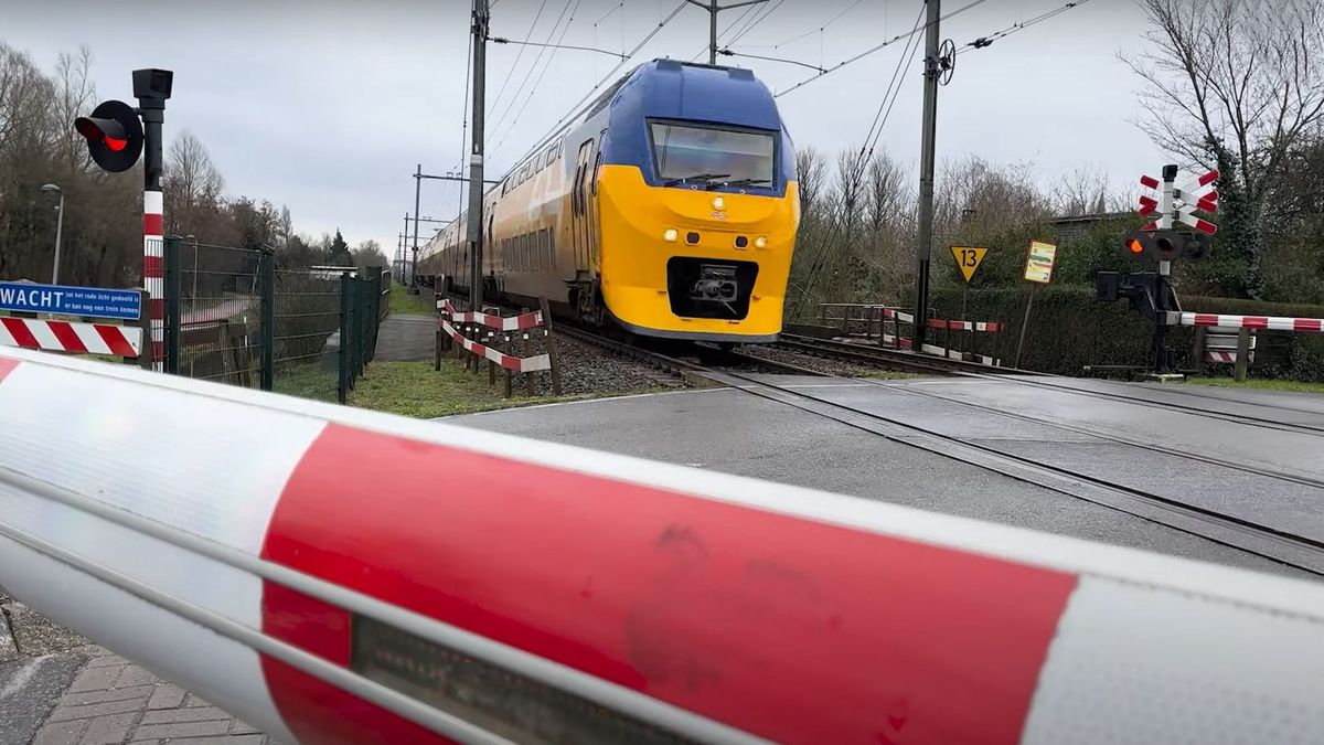 Flitspaal moet door rood piepen bij spoorwegovergang tegengaan - Rijnmond