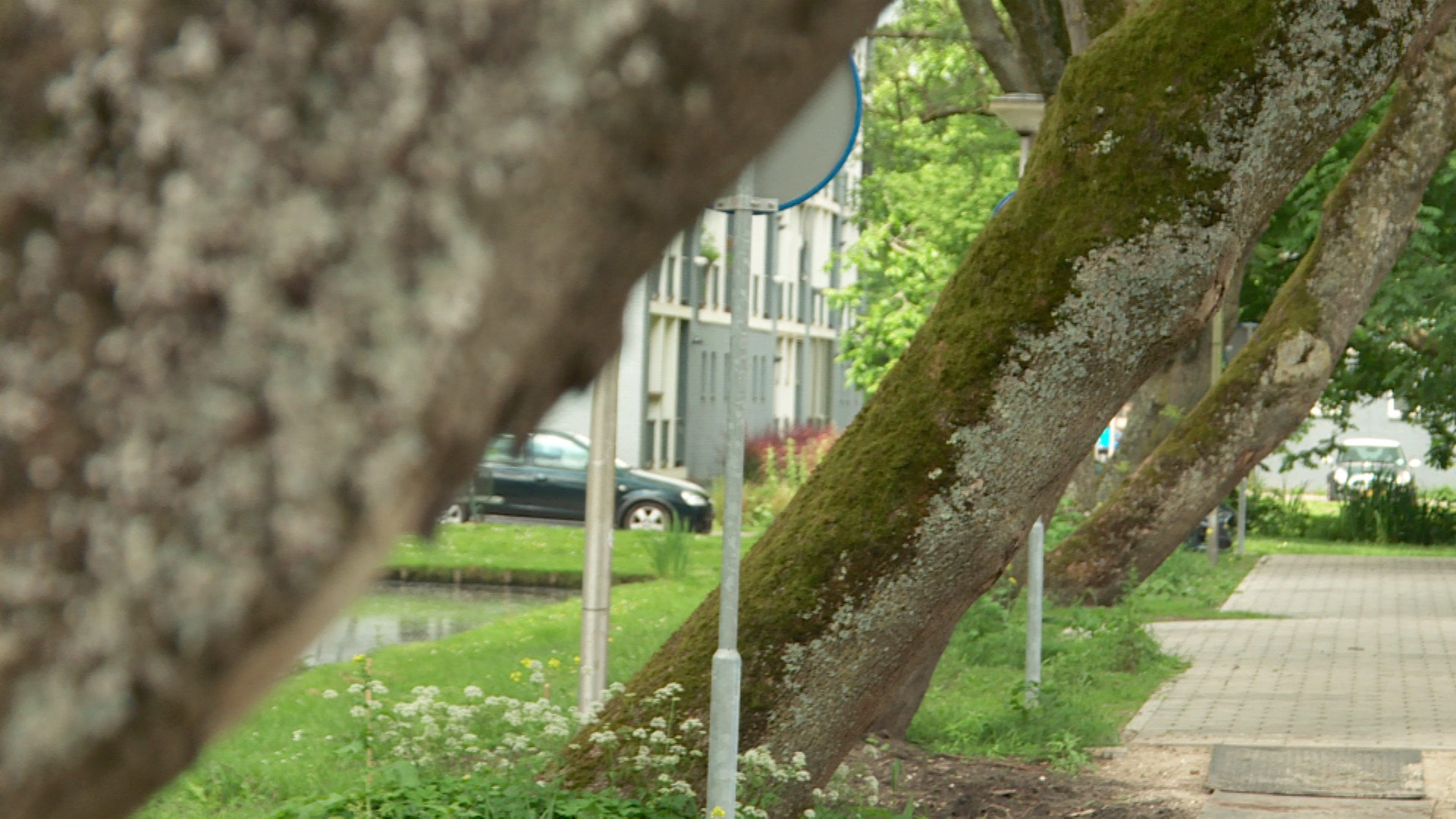 Nieuws uit Gouda en omgeving - Omroep West
