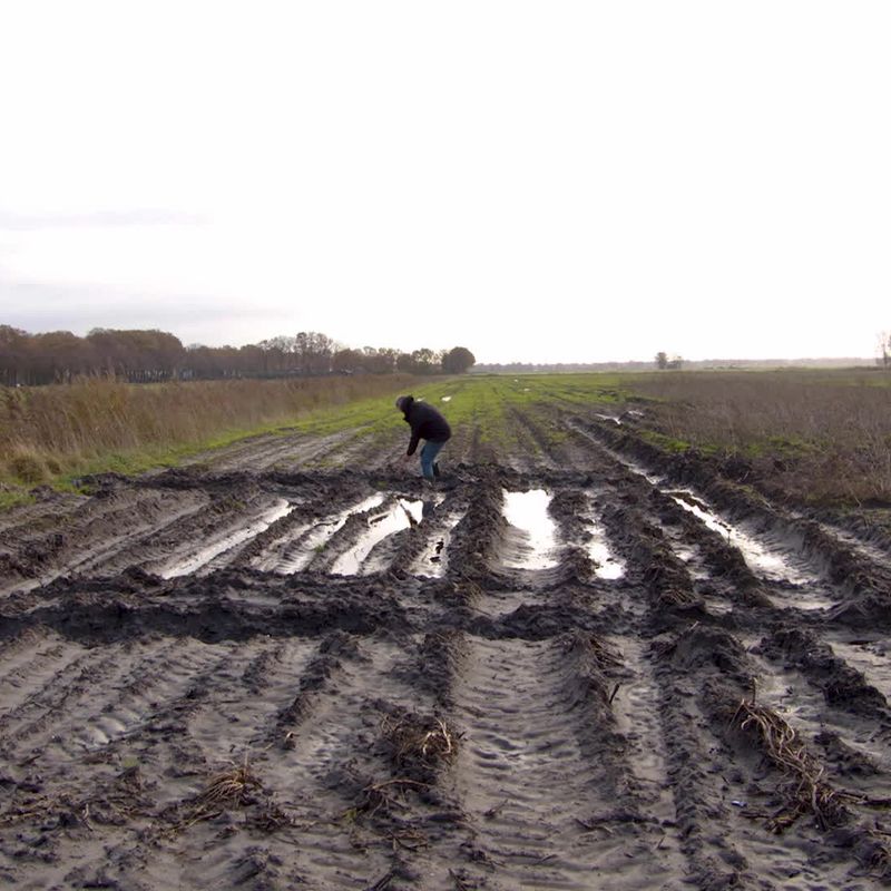 Boer Harm krijgt aardappels niet uit de natte grond: "Het wordt steeds ...