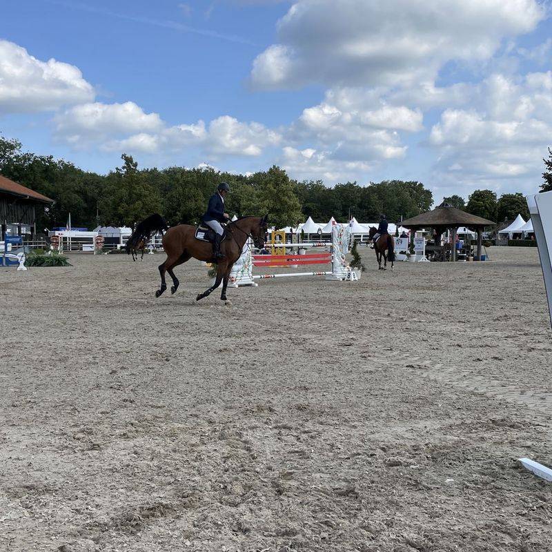 Kijk hier live naar de slotdag van CH De Wolden - RTV Drenthe