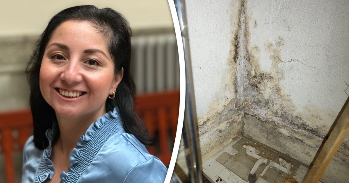 Leefbaar Rotterdam start meldpunt schimmelwoningen: 'Zwarte schimmel is ...