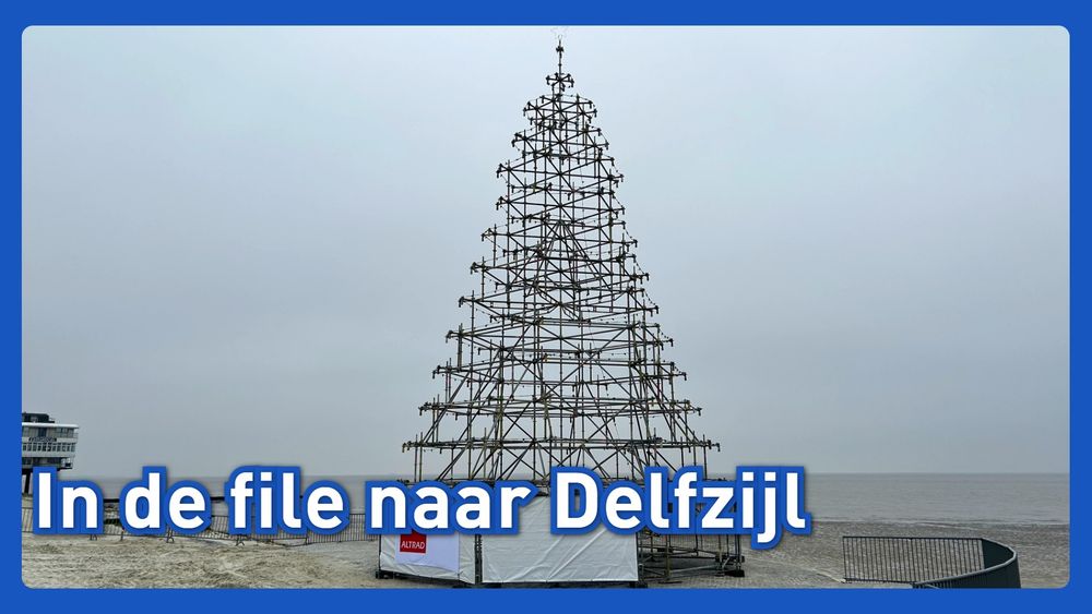 Hoogste kerstboom van de provincie staat op het stadsstrand van ...