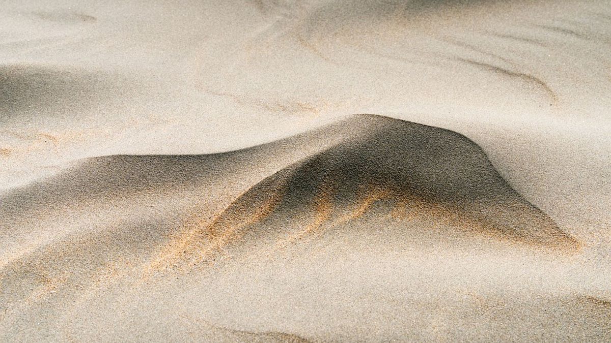 Wind en Sint, zand en strand in Chris Natuurlijk van 3 december - Rijnmond