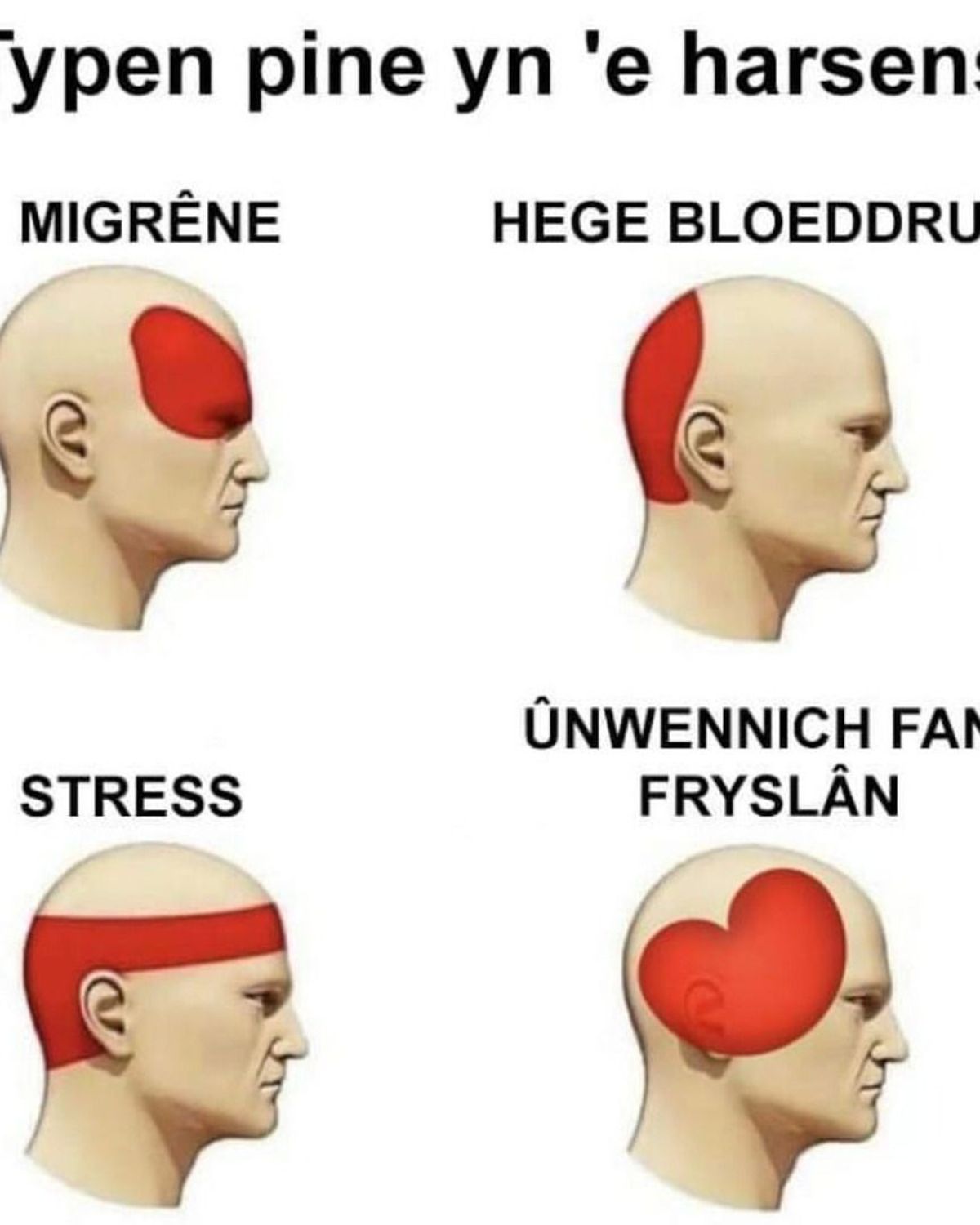 Jongeren en Friese memes: 'match made in heaven' - Omrop Fryslân