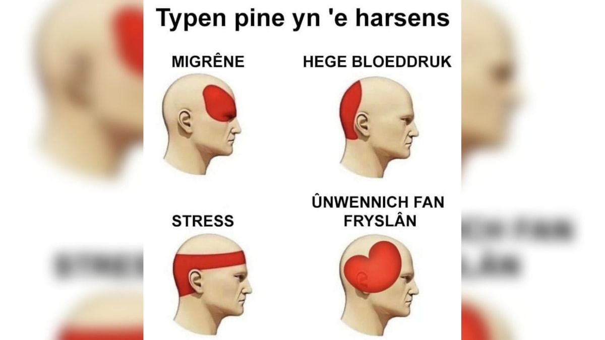 Jongeren en Friese memes: 'match made in heaven' - Omrop Fryslân