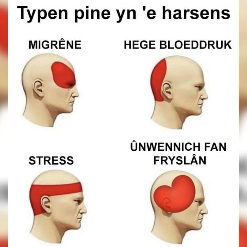 Jongeren en Friese memes: 'match made in heaven' - Omrop Fryslân