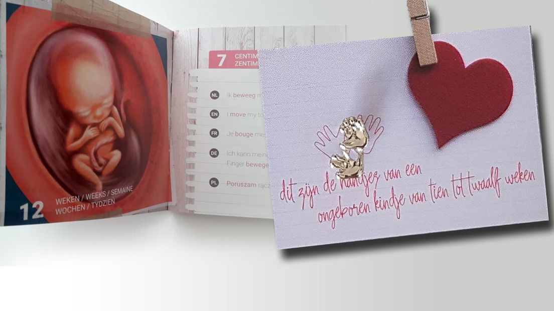 Schreeuw om Leven stopt tijdelijk met acties bij abortuskliniek - RTV Noord