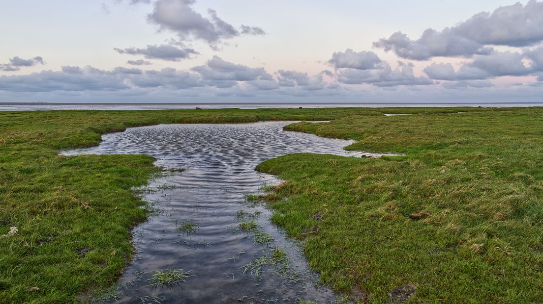 Unesco dreigt werelderfgoedstatus Waddenzee in te trekken vanwege ...
