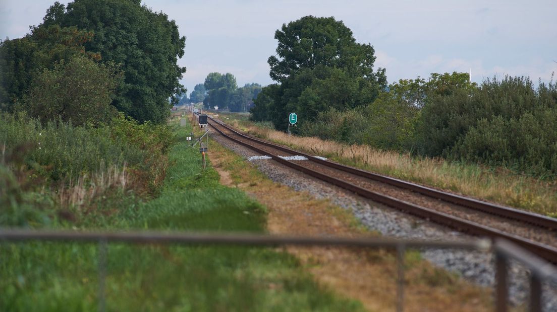 ProRail wil bij Molkwerum voor het eerst dassen verhuizen die het spoor ...