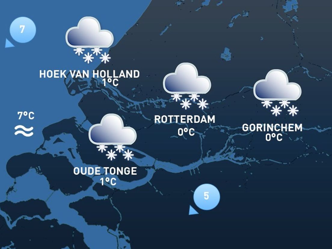 De Beste Tip Om Je Tuinplantjes De Vorst Te Laten Overleven Laat De