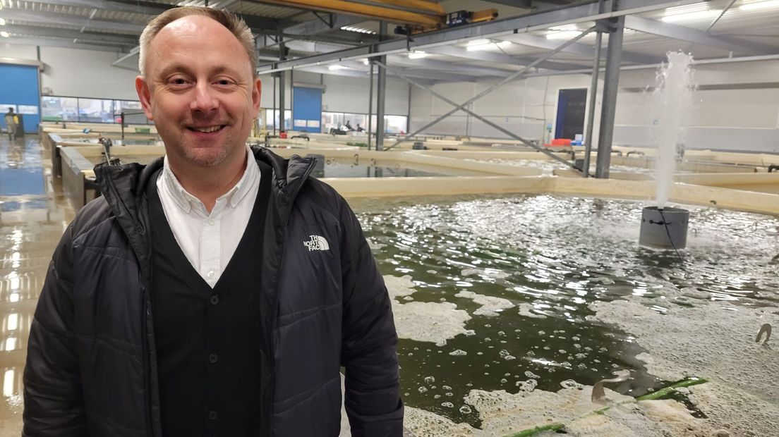 Bizarre week in Yerseke: bedrijven verwerken miljoenen oesters en ...
