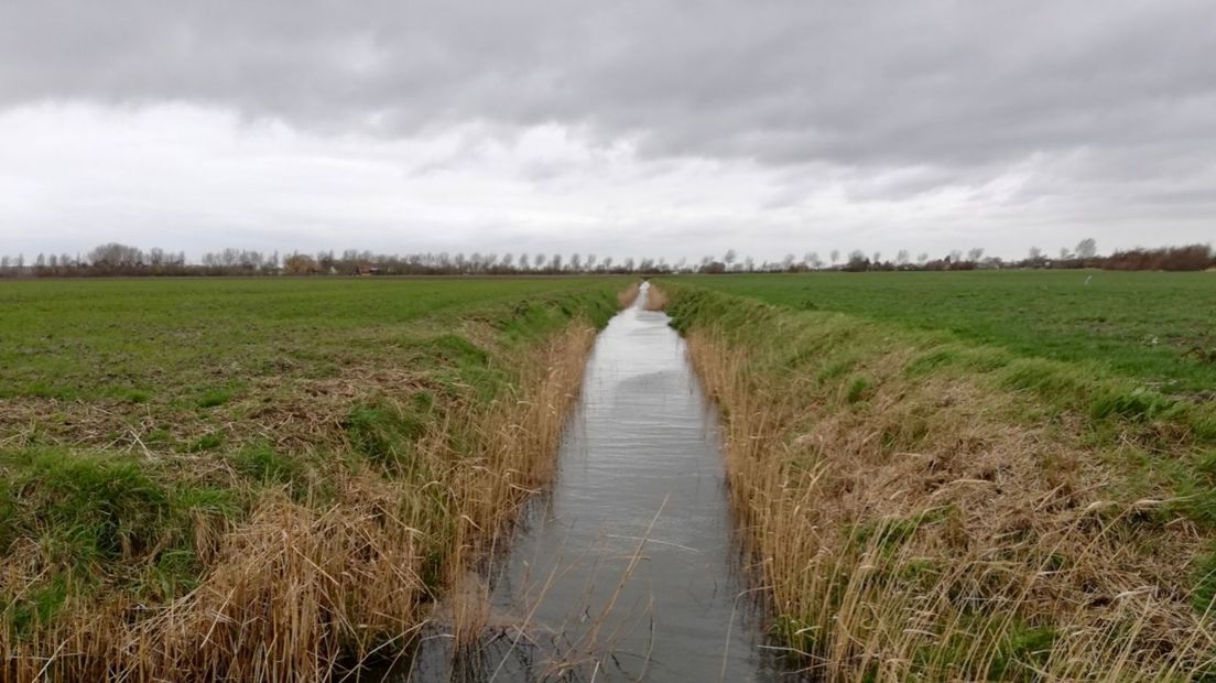 Boeren gaan meten of slootwater zoet genoeg is - Omroep Zeeland