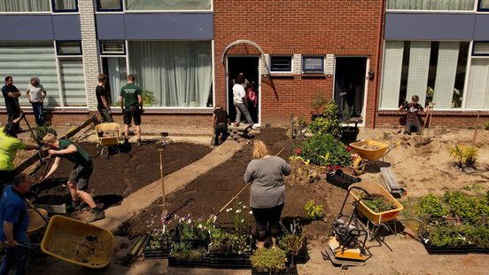 Zo maak je van je versteende voortuin een oase - Oozo.nl