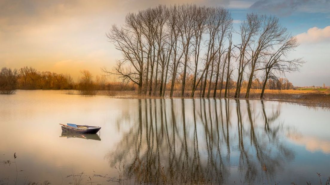 Laat met jouw foto zien hoe mooi de Gelderse natuur is - Omroep Gelderland