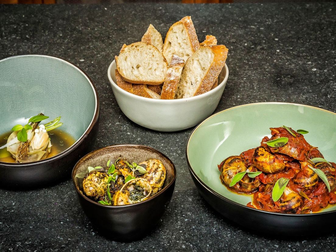 Slakken in je tuin die alles opeten, maar kun je deze slakken ook zelf ...