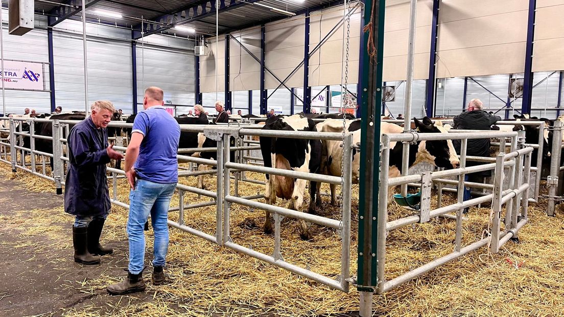 Rondleiding landbouwmuseum in nieuwe veemarkt: "Veemarkt was vroeger ...
