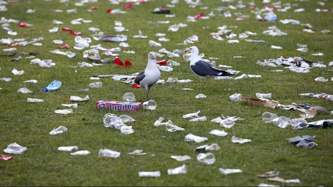 Maisbekers en hard-cups maken dit seizoen einde aan zee van afval op ...